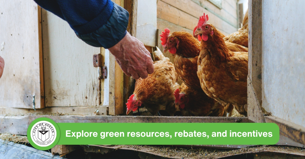 Green Resources | AustinTexas.gov