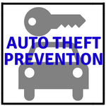 Auto Theft Unit