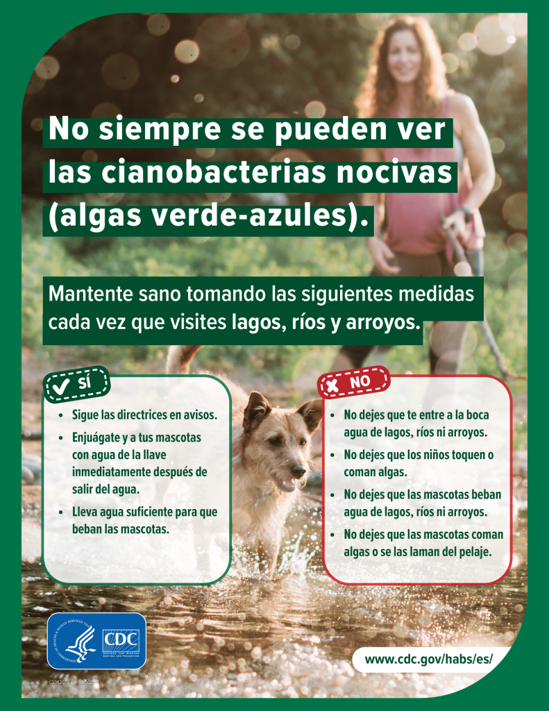 Algae Information | AustinTexas.gov