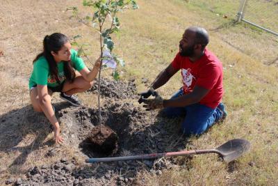 Austin Community Trees: A Legacy of Community and Trees | AustinTexas.gov
