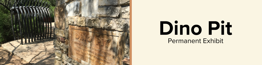 Austin Nature & Science Center Exhibits | AustinTexas.gov
