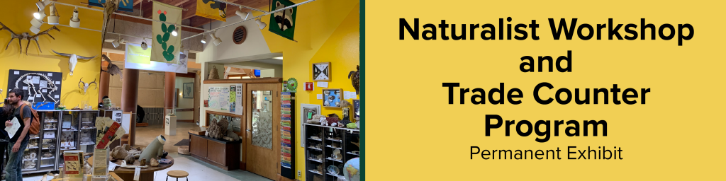 Austin Nature & Science Center Exhibits | AustinTexas.gov