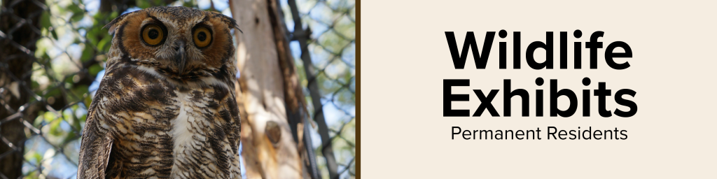 Austin Nature & Science Center Exhibits | AustinTexas.gov