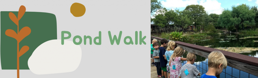 Austin Nature & Science Center Exhibits | AustinTexas.gov