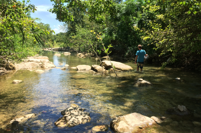 Business | AustinTexas.gov